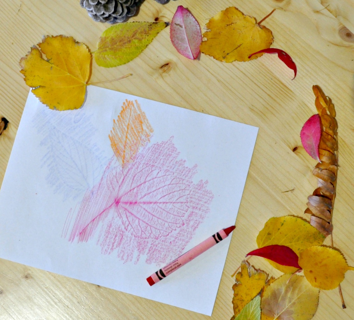 DIY Fall Craft: Leaf Stencils - Black Hills Family