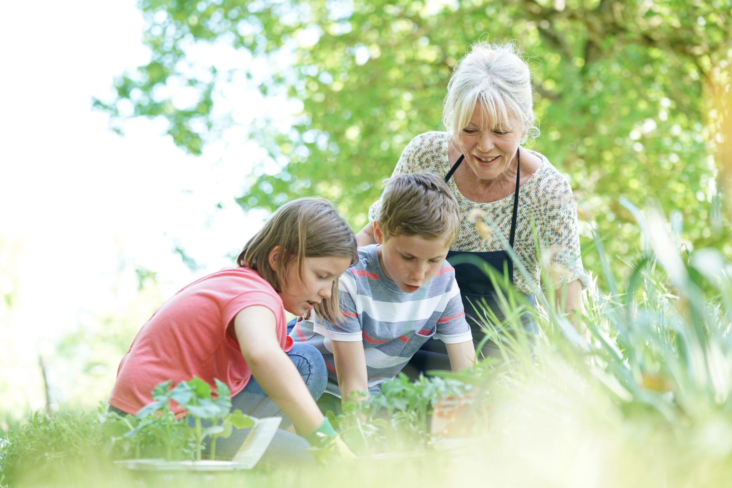 Intentional Time: Ages Zero to 99 - Black Hills Family